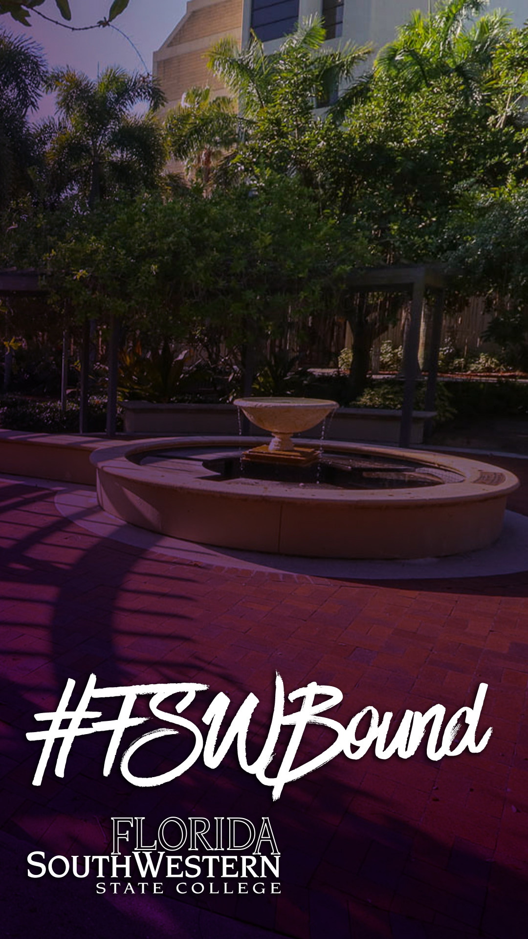 Congratulations, New Buccaneer! | Florida SouthWestern State College